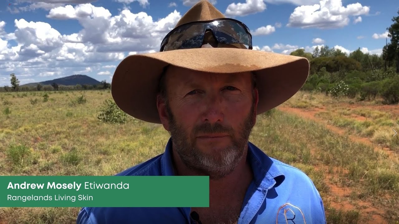 Rangelands Living Skin: Andrew Mosley - YouTube