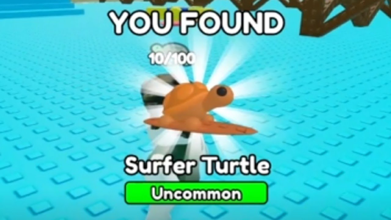 Find the Turtles - Where to Find the Surfer Turtle (Roblox) - YouTube