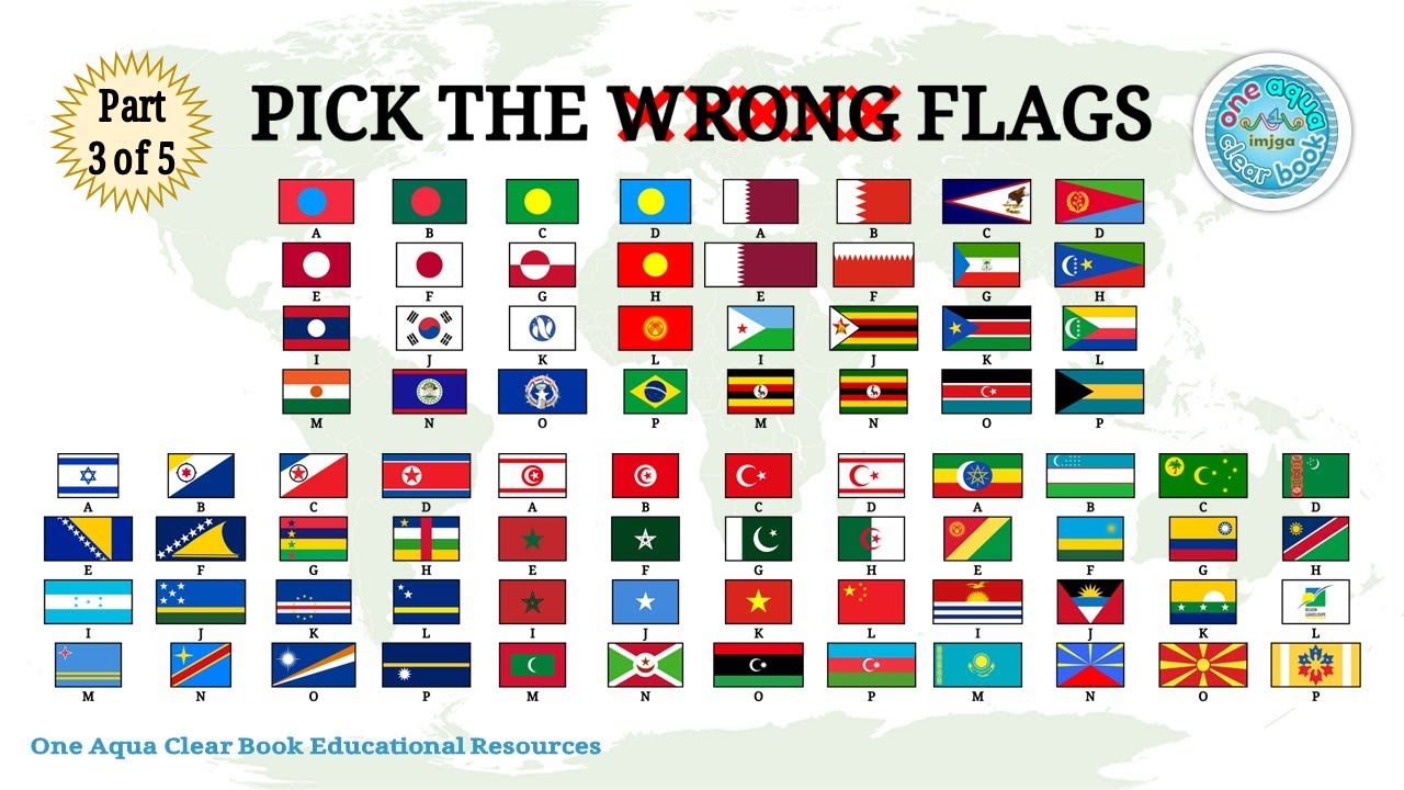 Pick the Wrong Flags | Part 3 of 5 - YouTube