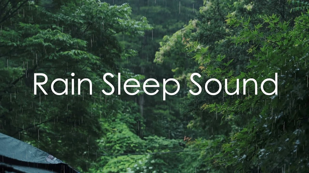 Rainforest Rain Sounds for Sleeping or Studying 🌧️ White Noise ...