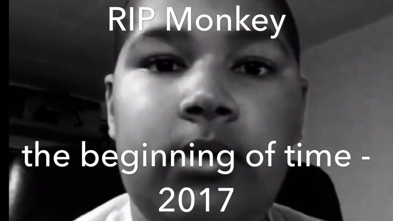 Rip monkey - YouTube