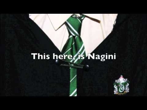 Great Hall Can't Hold Us - Slytherin Rap Harry Potter Party 2013