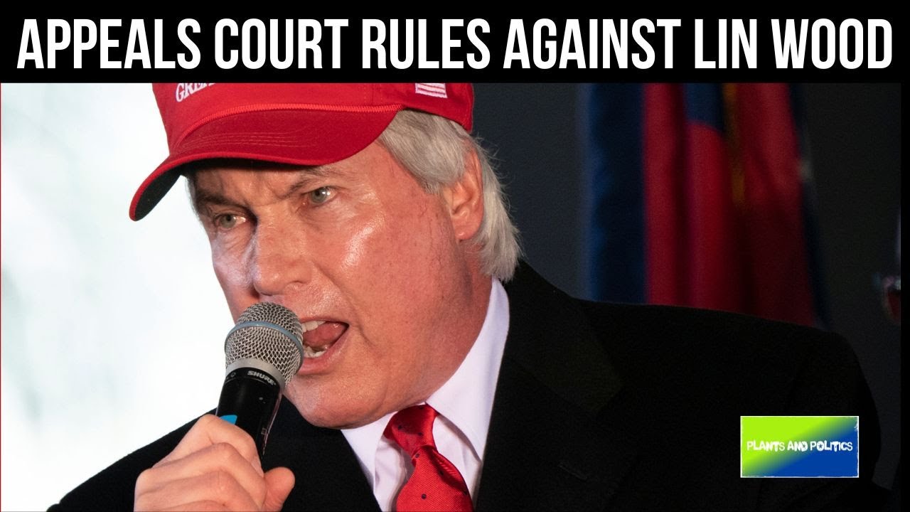 Appeals Court Rules Against Lin Wood - YouTube