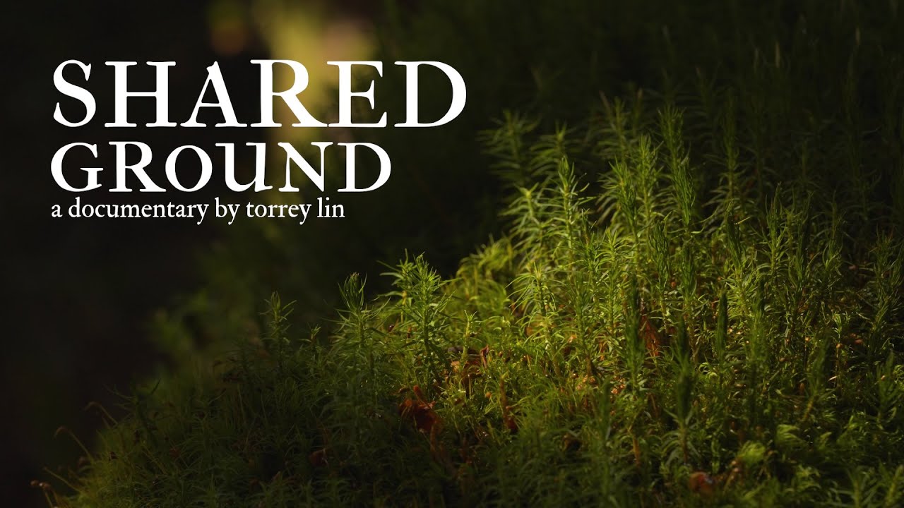 Shared Ground - YouTube
