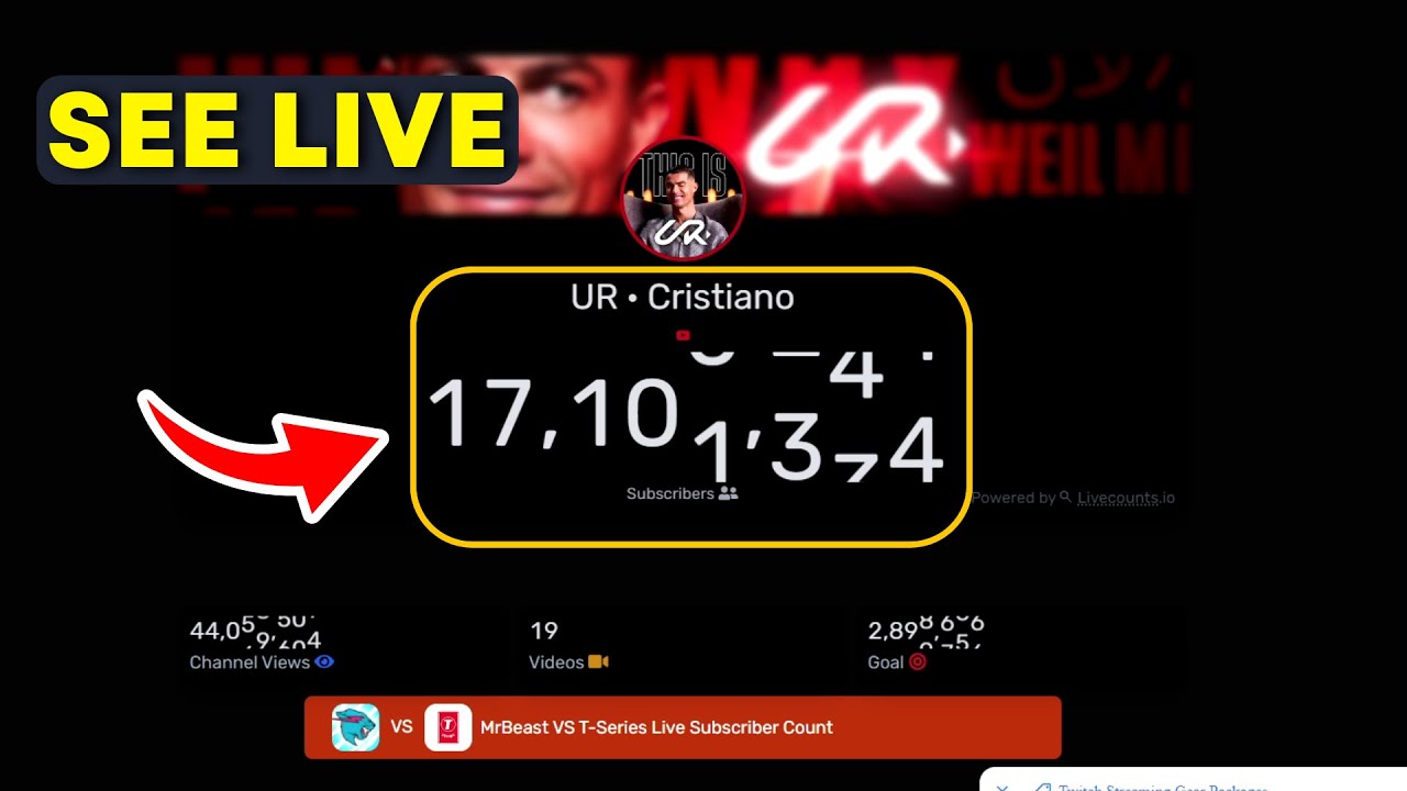 How to See Live Subscribers Count of any YouTube Channel - Full Guide ...