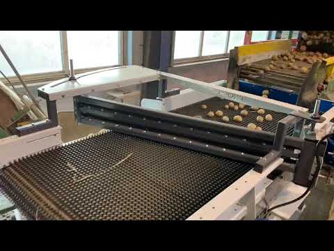 APH Group Engineering: Haulm separator for potatoes