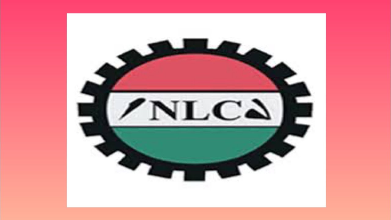 NLC OFFICIALLY DECLARES SUPPORT FOR PETER OBI - AYUBA WABBA - YouTube