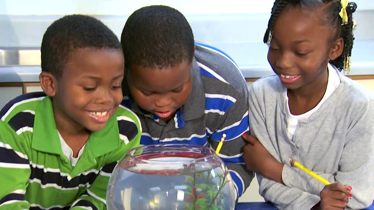 Junior Zoologist - YouTube