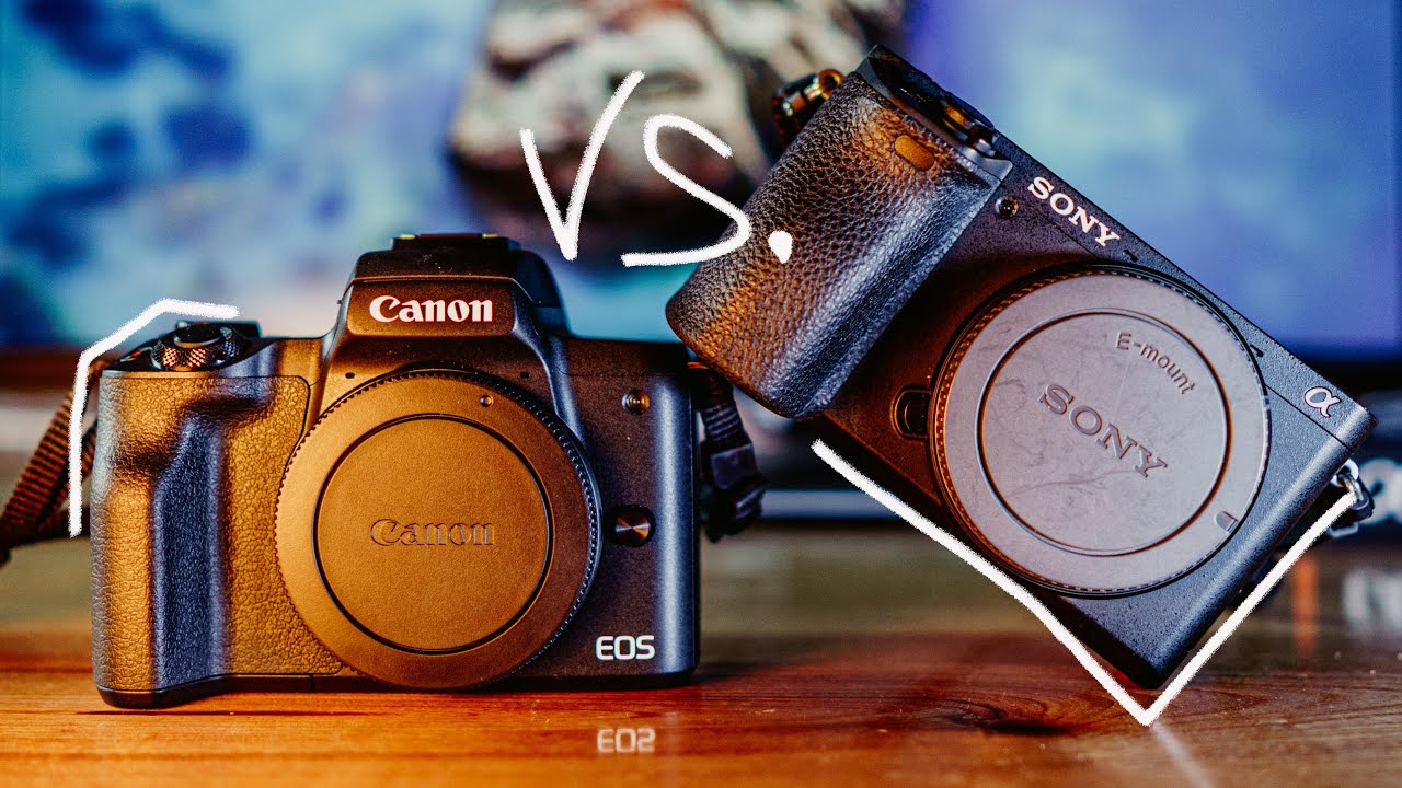 Sony Alpha 6000 vs Canon Eos m50 | Beste Kamera für Einsteiger 2021 ...