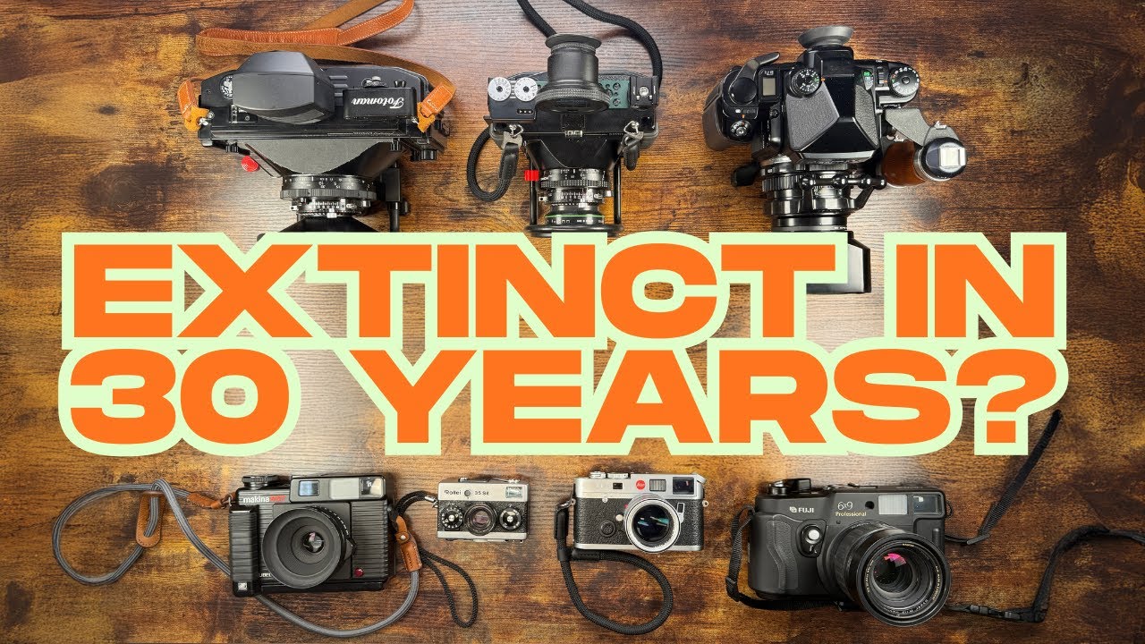 Which Of These Film Cameras Will Die By 2055? The Future of Analog ...