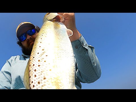 Z-Man Lures NED RIG IN SALTWATER | Guide Day w/ Morris - YouTube