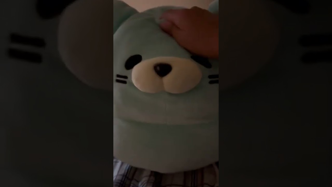 Beatbox Cat - YouTube