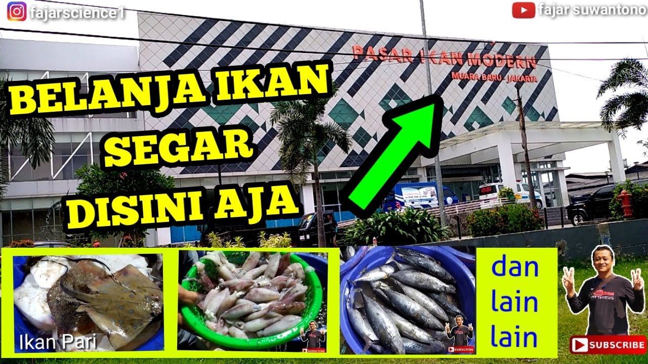 BELI IKAN DI PASAR IKAN MODERN MUARA BARU, SABTU,13 FEBRUARI 2021 - YouTube