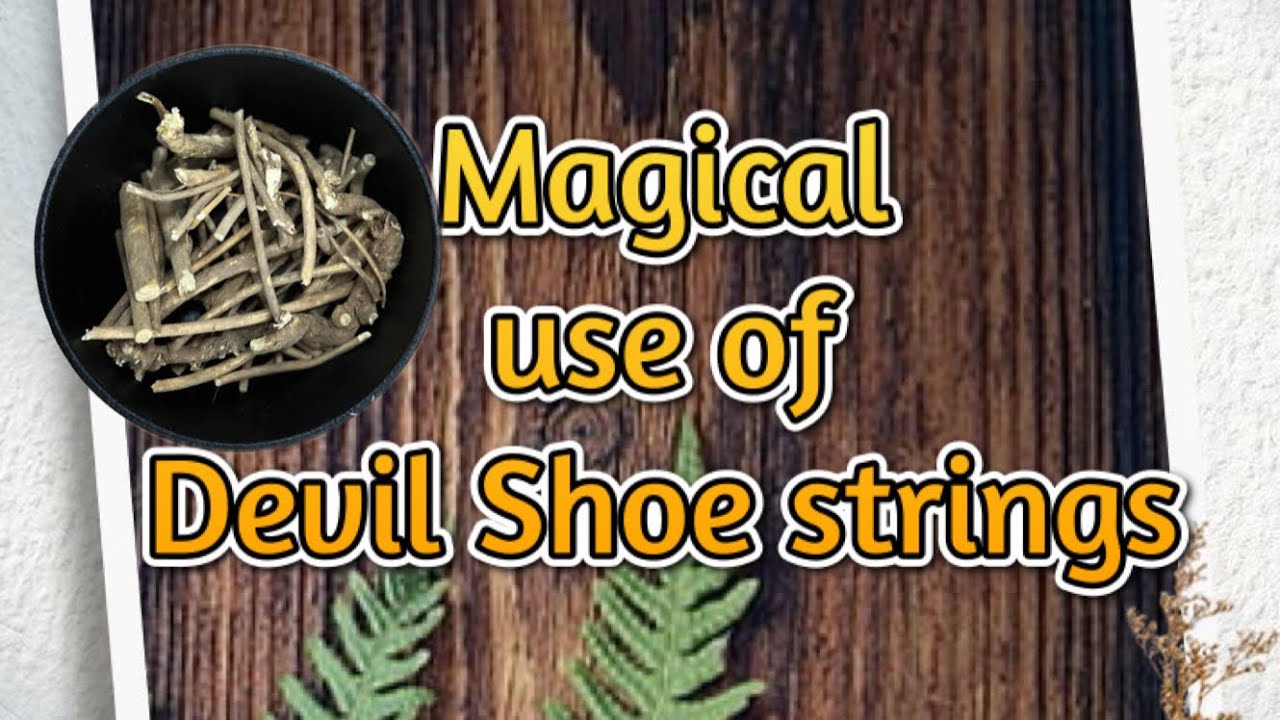 Magical use of Devil Shoestring Roots - YouTube