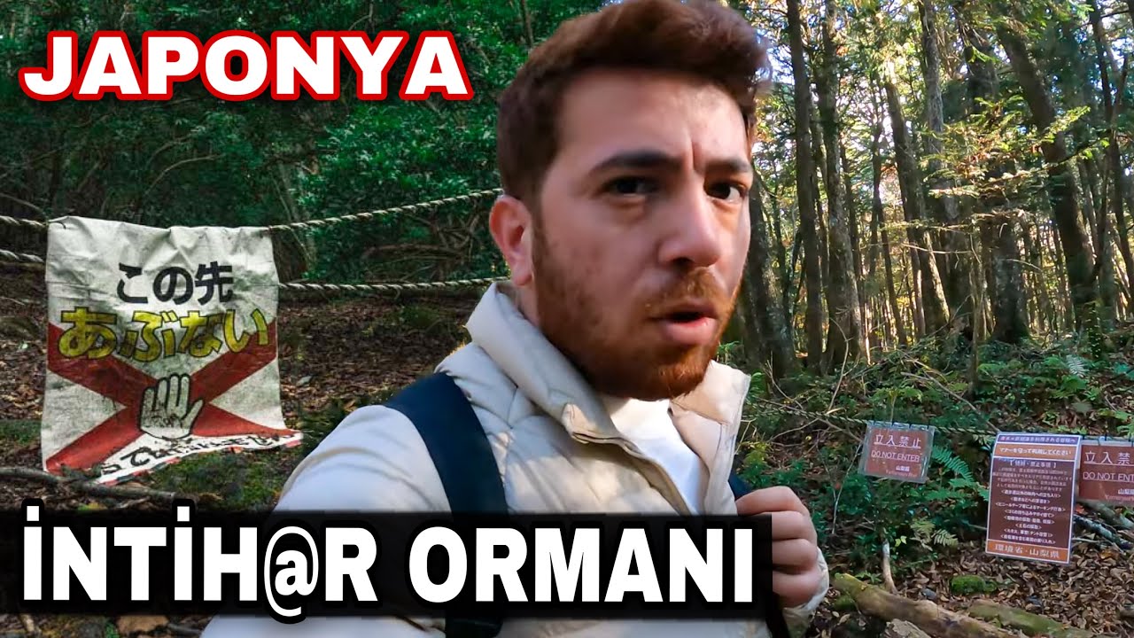JAPONYA’NIN YASAKLI ORMANINA GİRDİK | FUJİ 🇯🇵 - YouTube