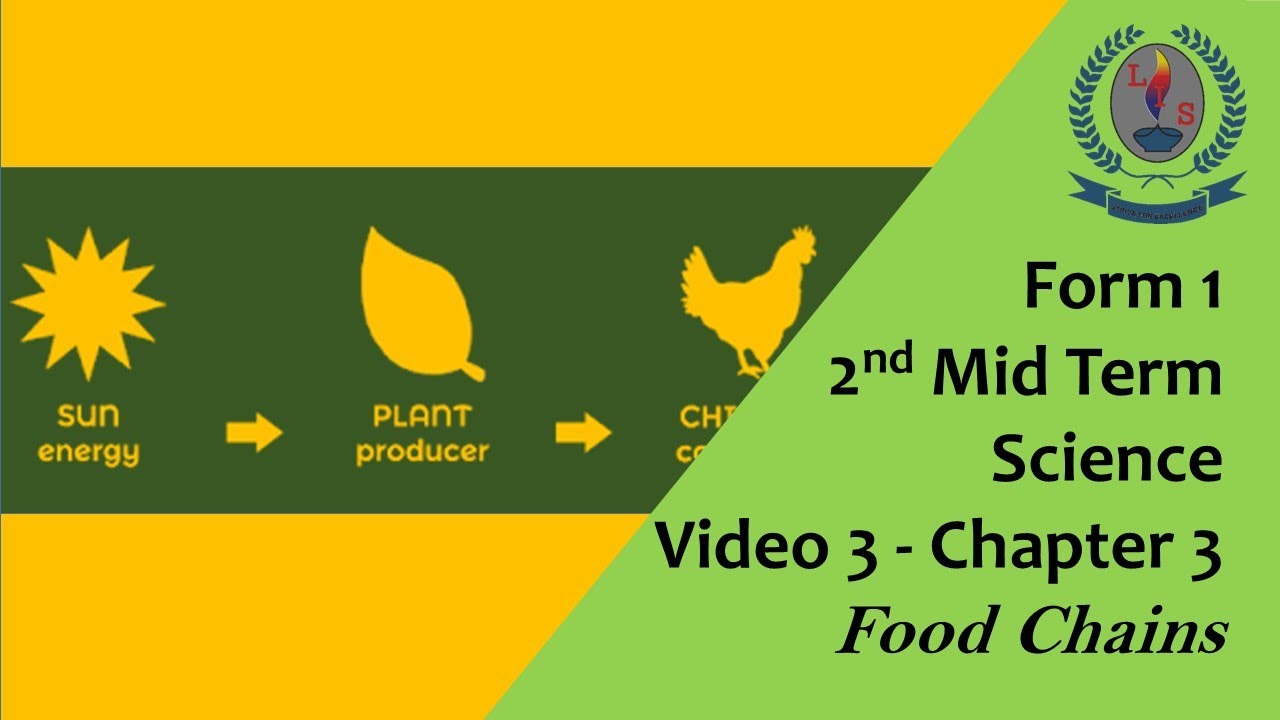 Form 1 - 2nd Mid Term - Science - Video 3 - Chapter 3 - Food Chains ...