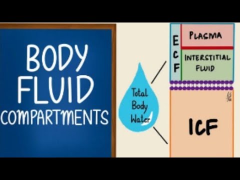 Body Fluid and their distribution Part 3 Physiology MBBS USMLE STEP 1 ...
