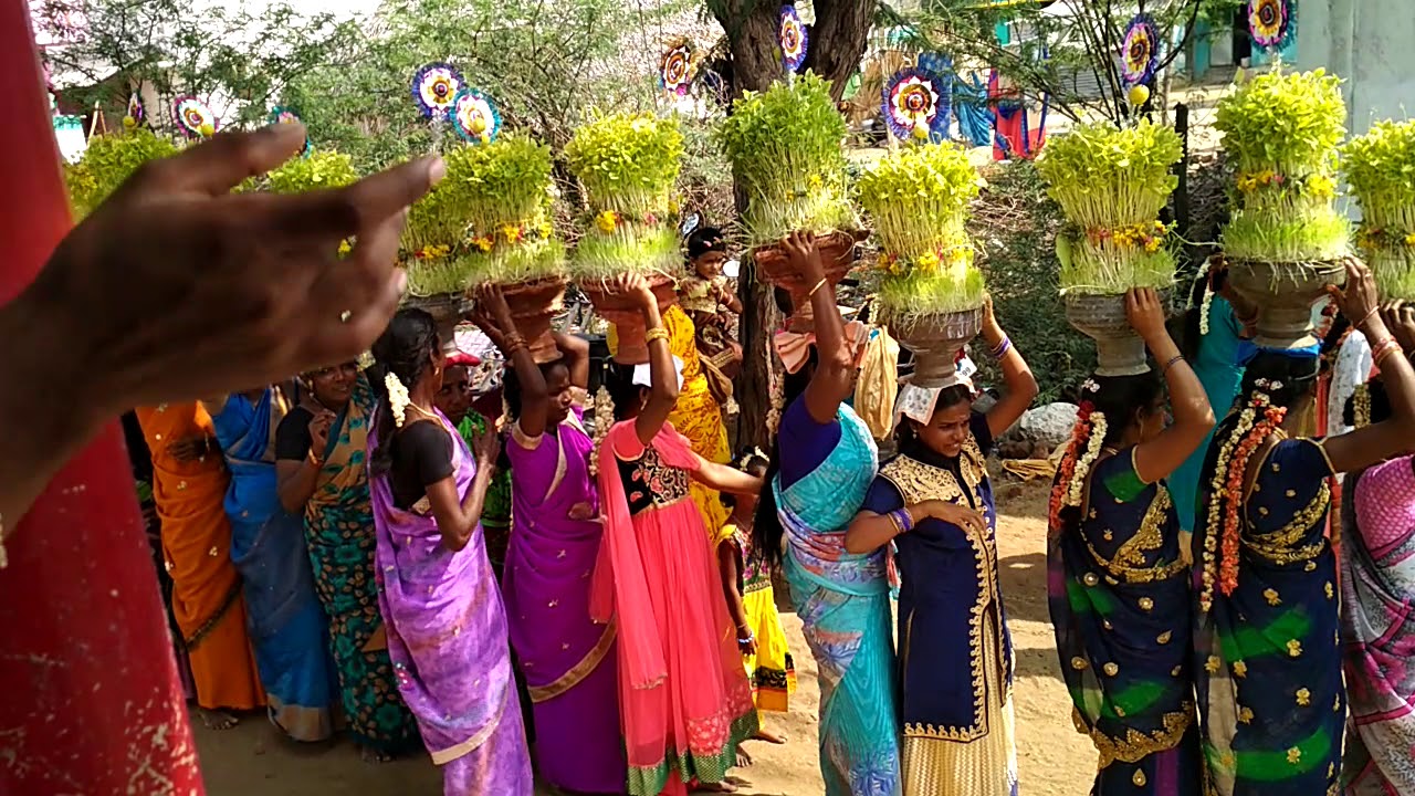 T.alangulam mulaippari - YouTube