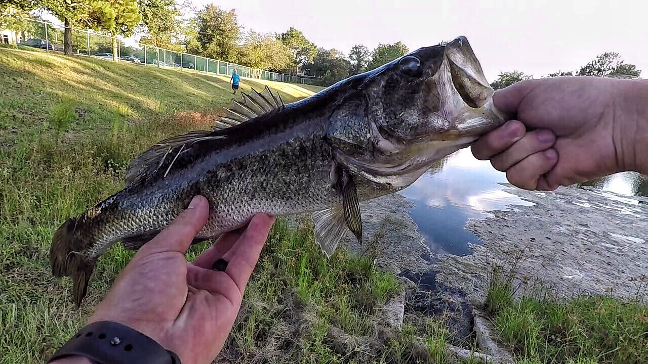 Trying Out The New FX Custom Rod!! - YouTube