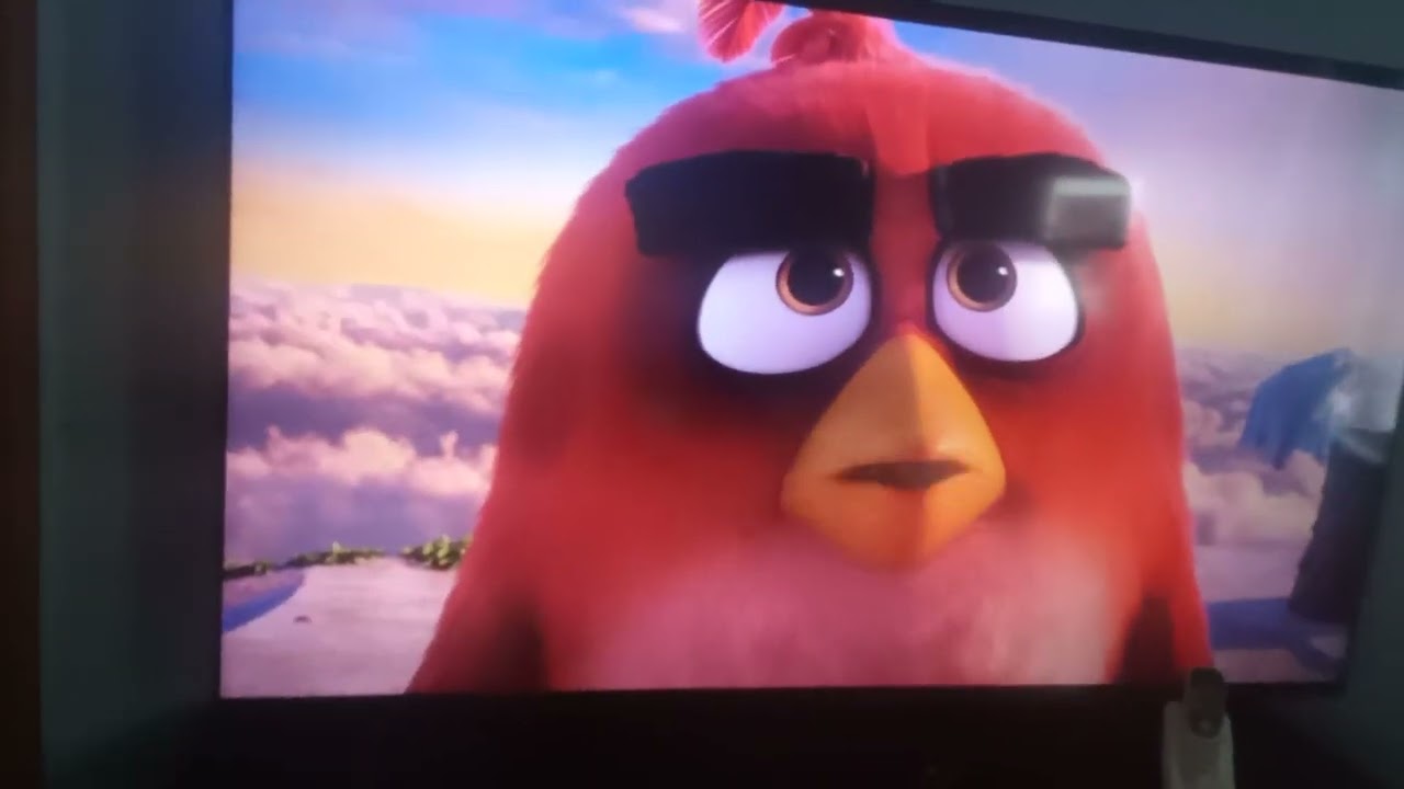 angry bird - YouTube