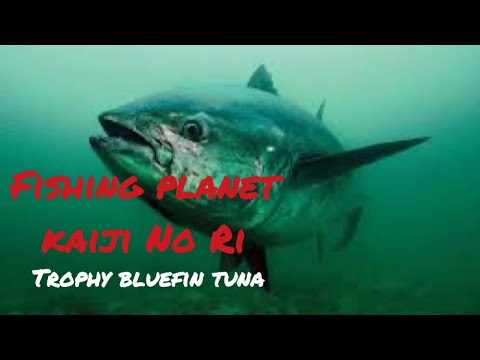 Fishing Planet trophy bluefin tuna - YouTube