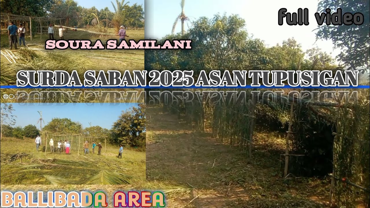 surda Saban 2025 asan tupusigan bara||ballibada aria video//tupusigan ...