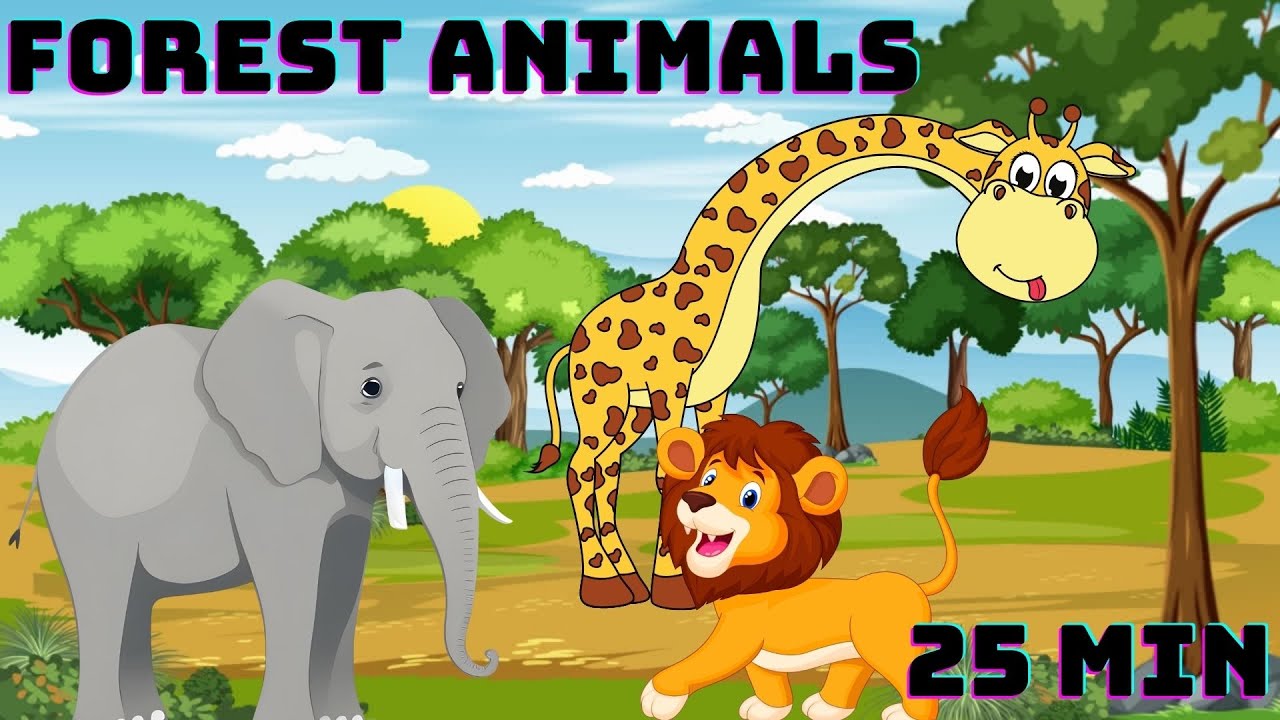 We learn the names of forest animals ! 25 Min - YouTube