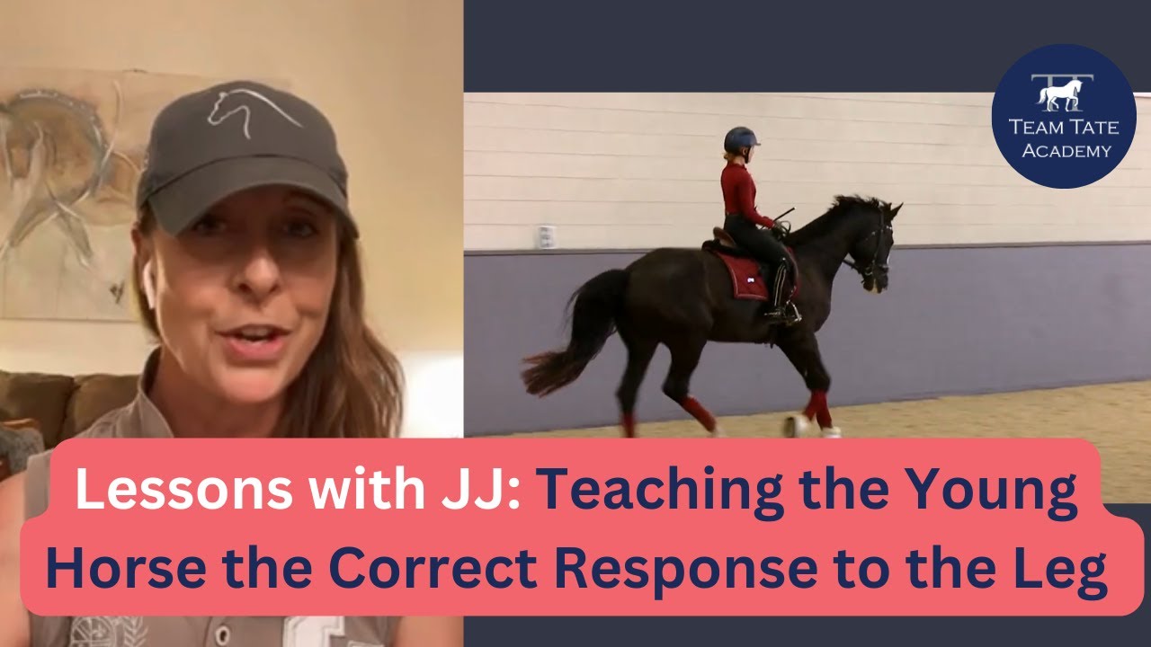 Teaching the Young Horse the Correct Response to the Leg with Katie ...