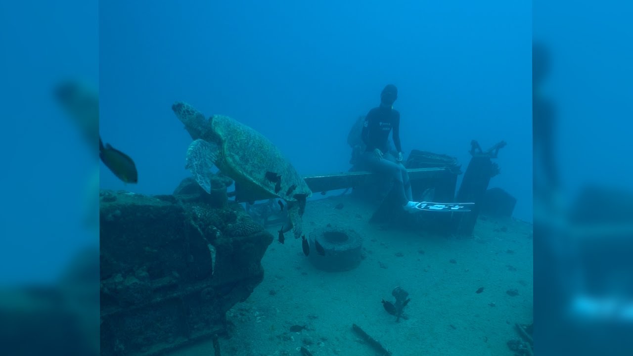 Dive smarter, Not harder 😉 this is how we explored Hawaii - YouTube