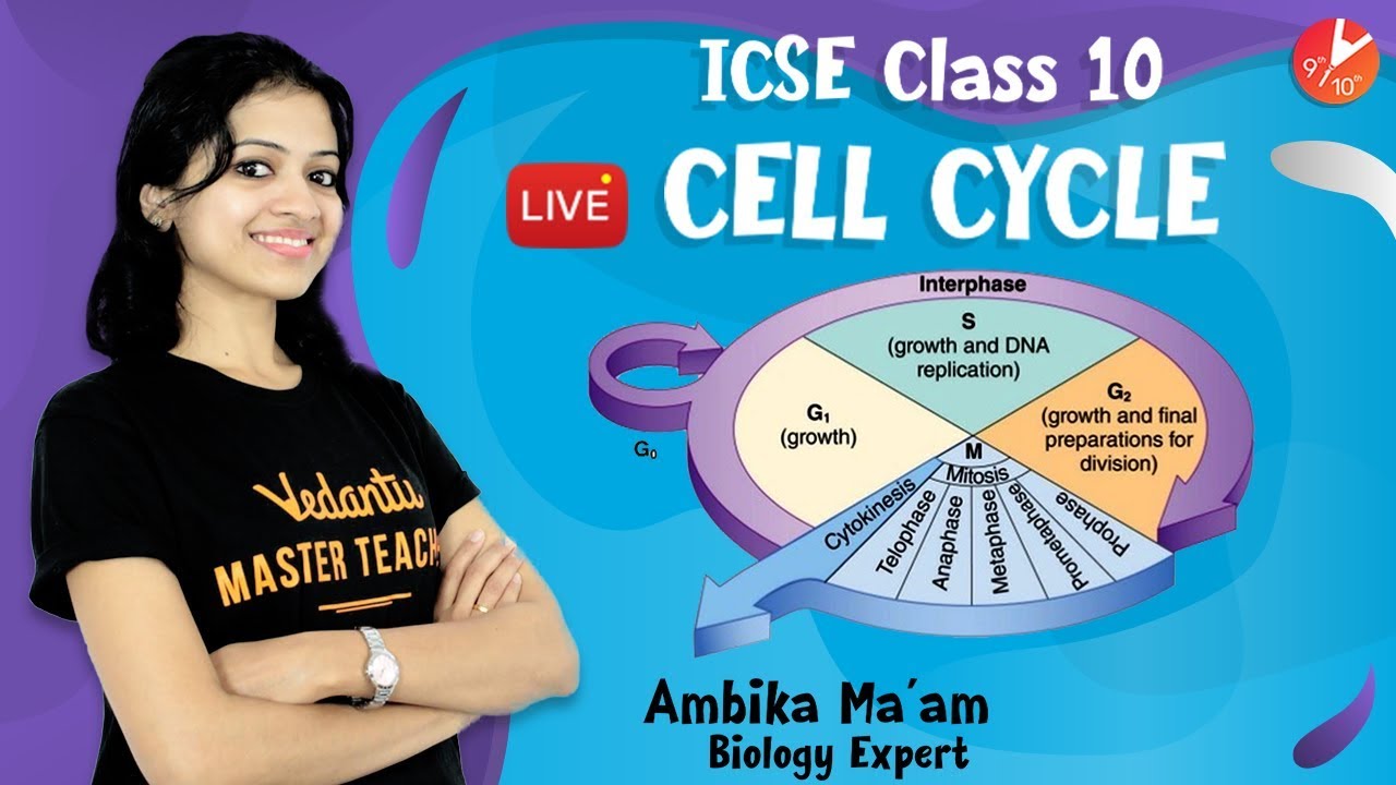 CELL CYCLE ICSE Biology Class 10 Cell Cycle And Cell Division cell-cycle-icse-biology-class-10-cell-cycle-and-cell-division