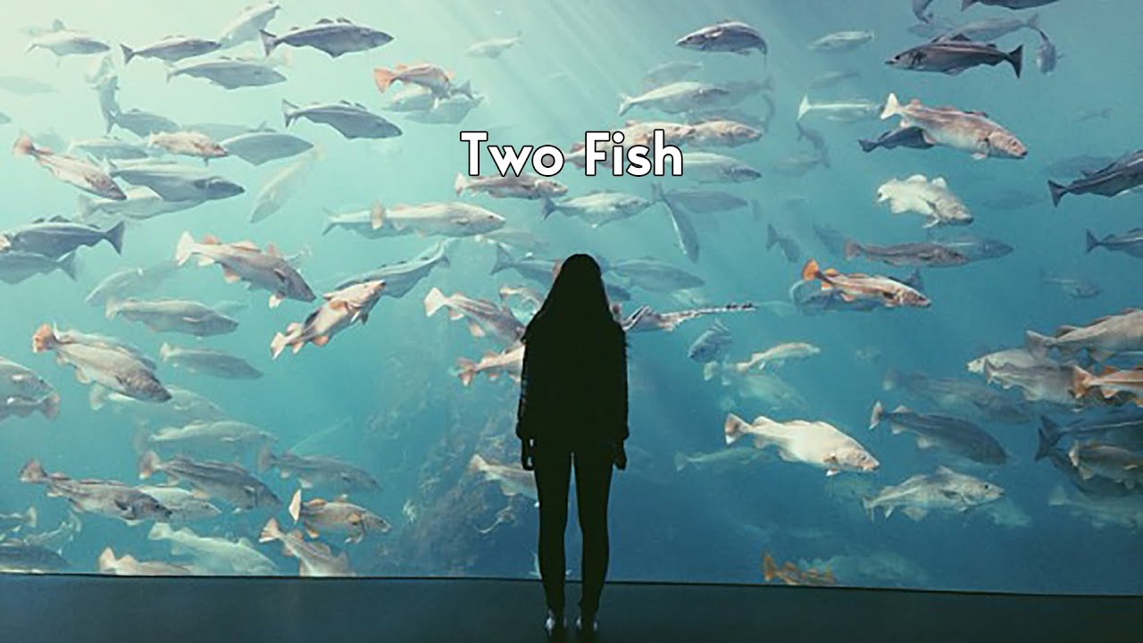 Sigrid - Two Fish (Lyrics Video) - YouTube
