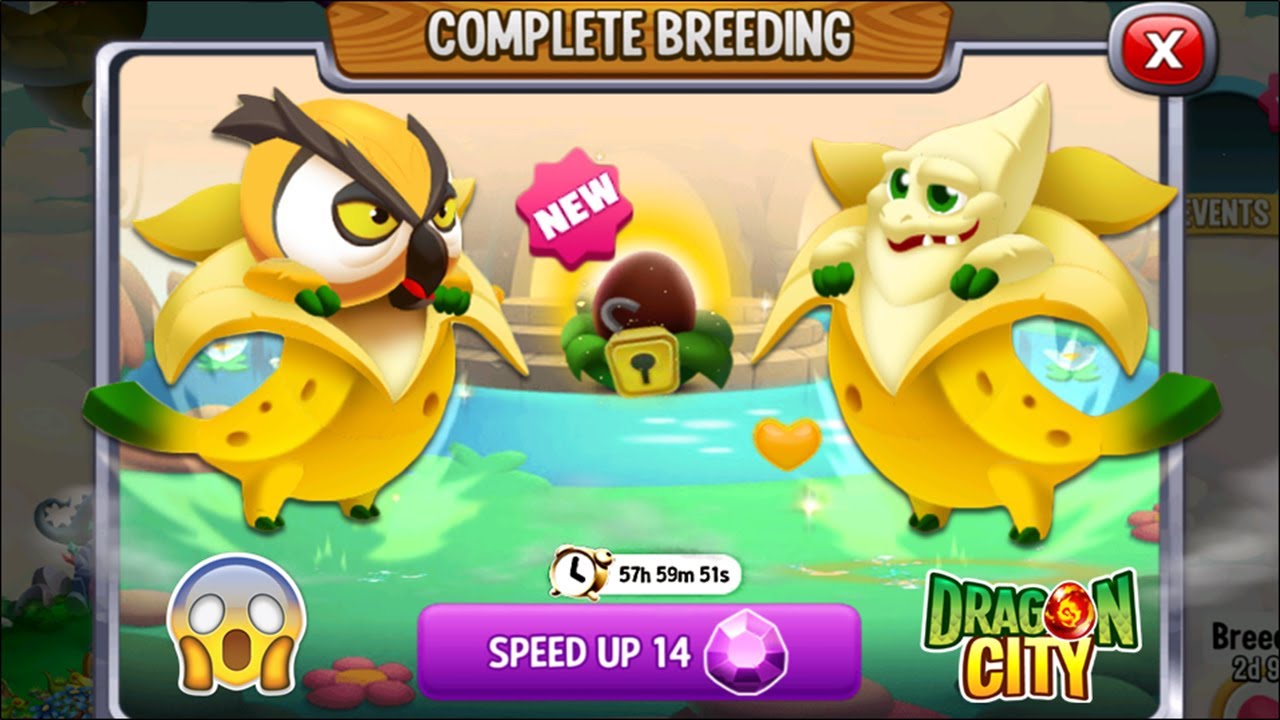 Dragon City: Banana Dragon vs Bananoss Dragon [EXCLUSIVE BREEDING] 😱 ...