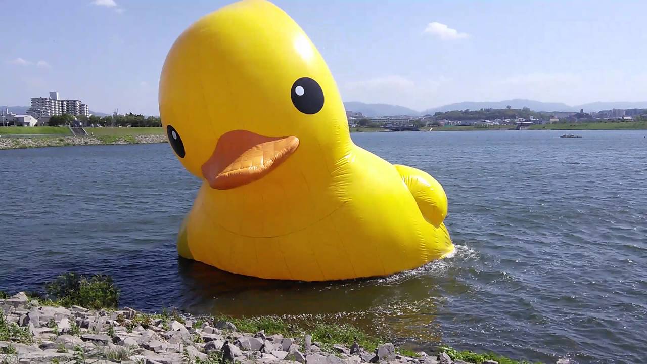 giant rubber duck at osaka, japan (2) - YouTube