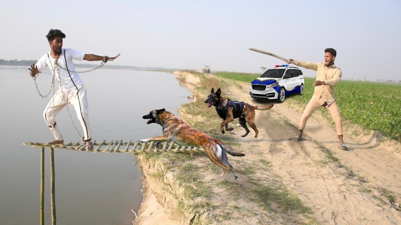 Must Watch New Funny Video 2022_Top New Comedy Video 2022 Try to not ...