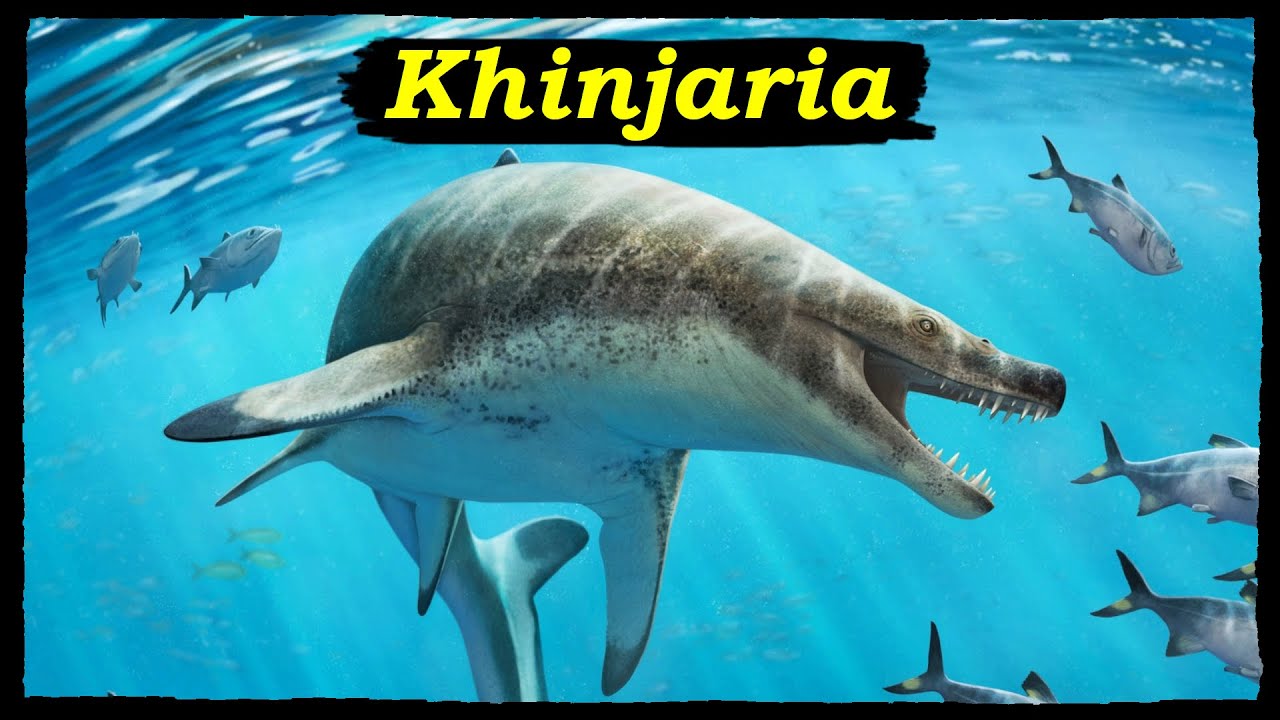 Khinjaria: the Dagger-Toothed Dragon of Morocco! - YouTube