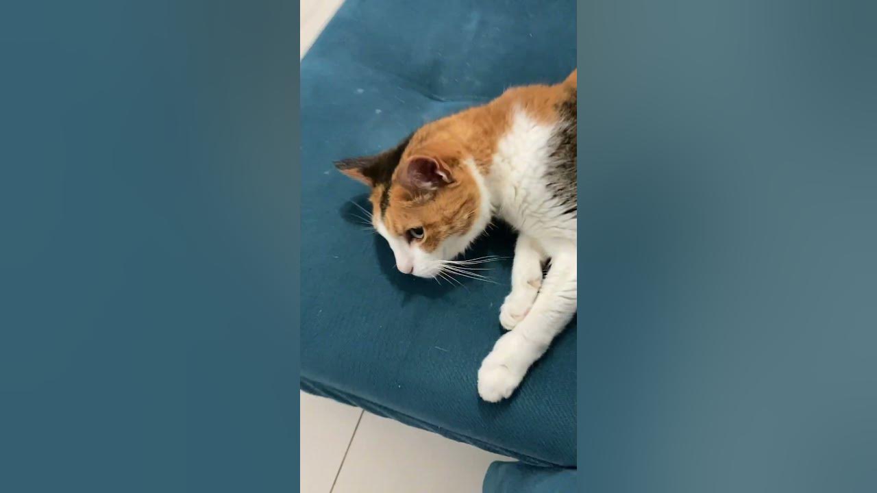 🌞😂Um dia muito quente🌞😂 - YouTube