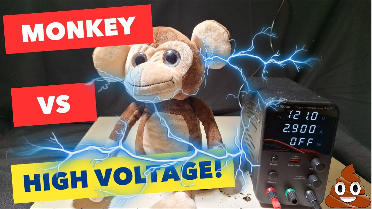 Toys Under High Voltage: Pooping Monkey - YouTube