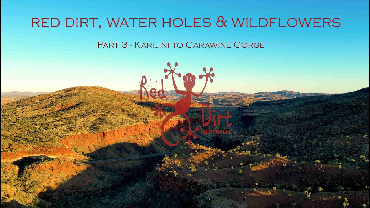 Pilbara 2022 Red dirt, waterholes and wildflowers Part 3 – Karijini to ...