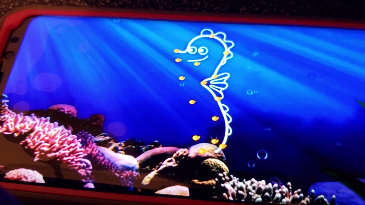 Scuba dots seahorse - YouTube