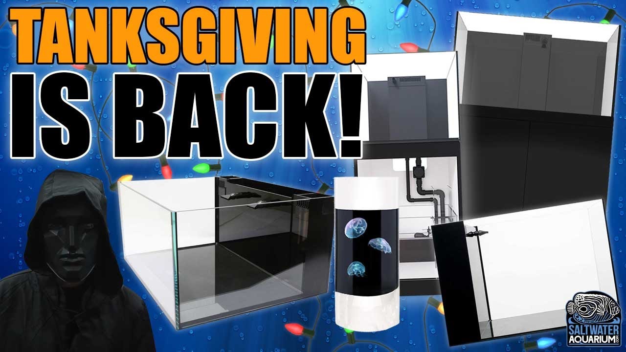 TANKSGIVING 2022 Rollout - Let The Reef Games Begin! Giving Away A Tank ...