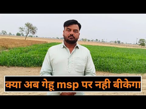 क्या अब गेहू msp पर नही बिकेगा 😱|| fci की नई गाइडलाइन 😢 - YouTube