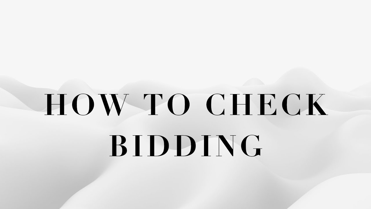 How to check Bidding - YouTube
