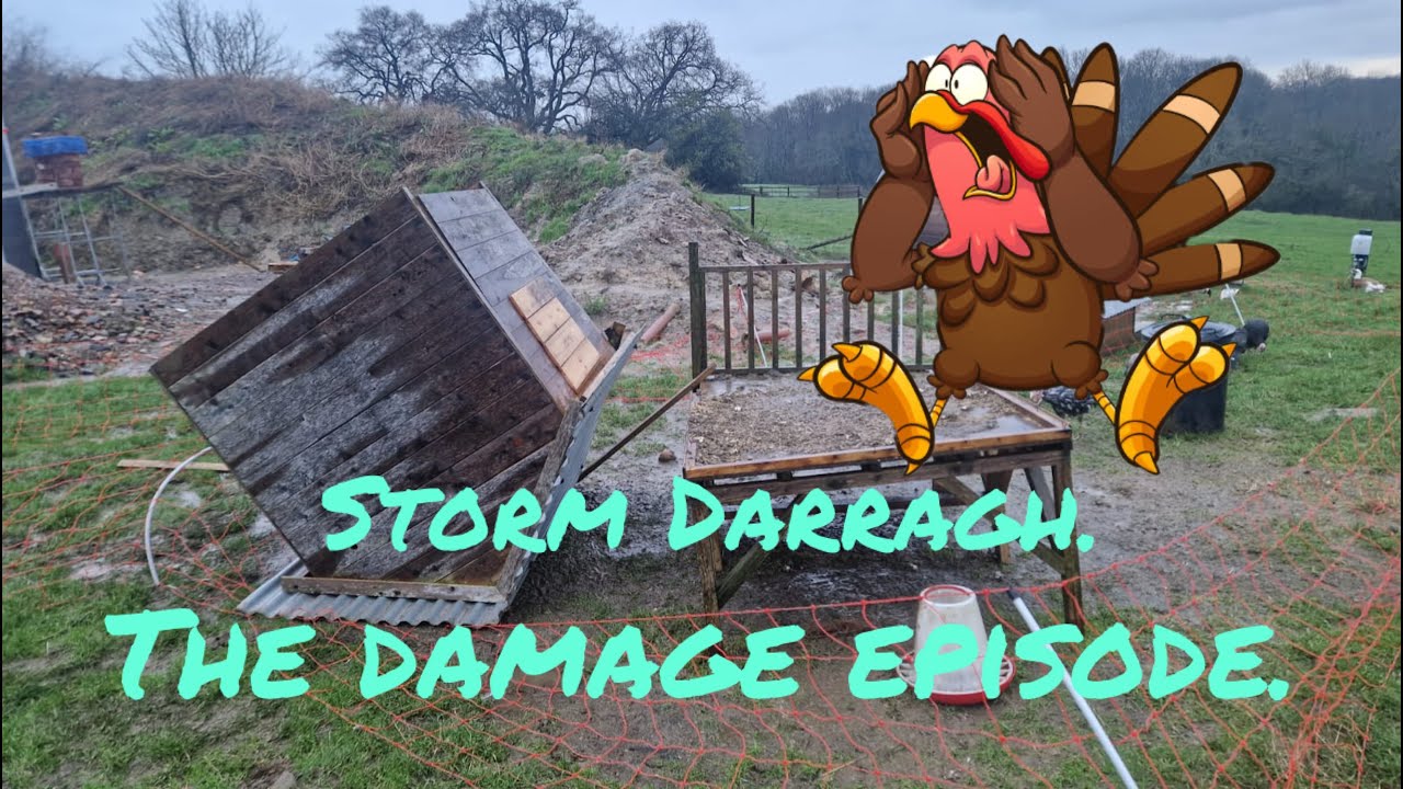 Storm Darragh strikes!! Chaos and Damage on the farm. - YouTube