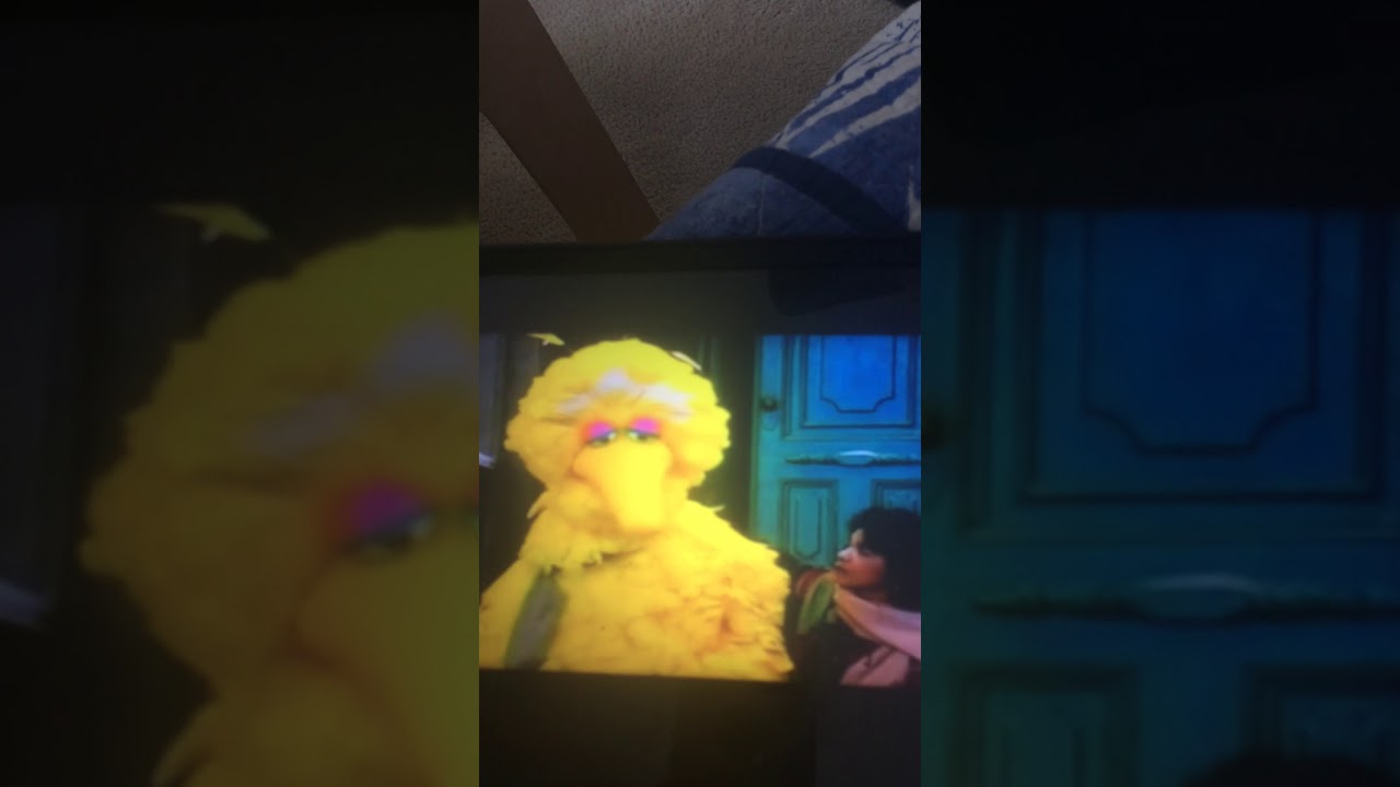 Sesame Street Big Bird Crying - YouTube
