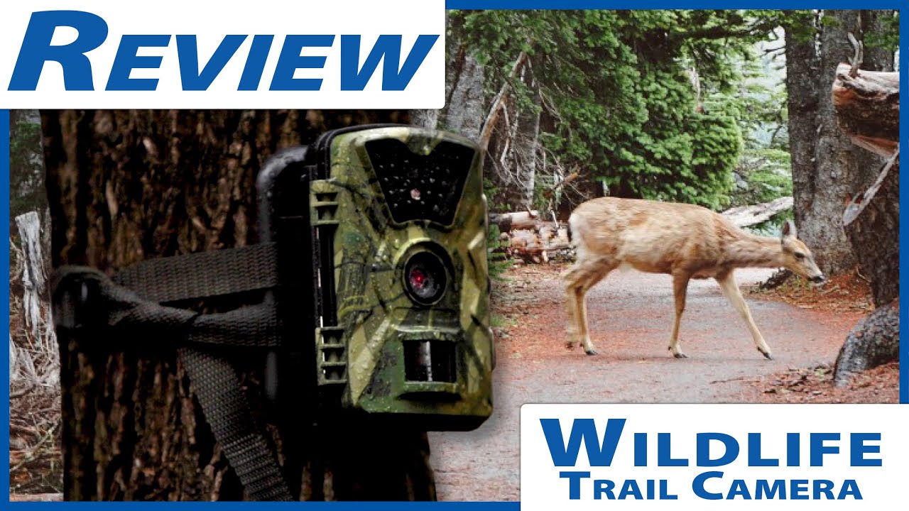 Wildlife Trail Camera in Depth Review - YouTube