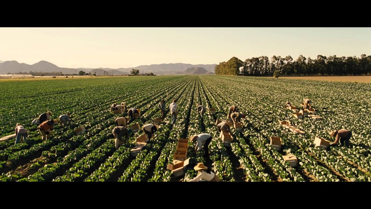 McFarland, USA Official Trailer 2 1080p - YouTube