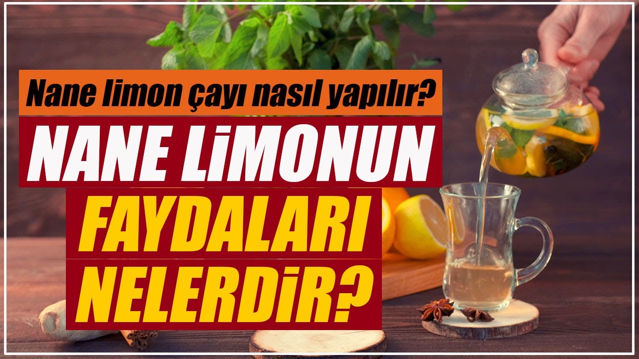 Nane limonun faydaları nelerdir? Nane limon çayı nasıl yapılır? - YouTube