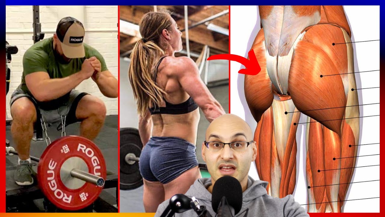Glute Training Science Activate Your Booty Youtube