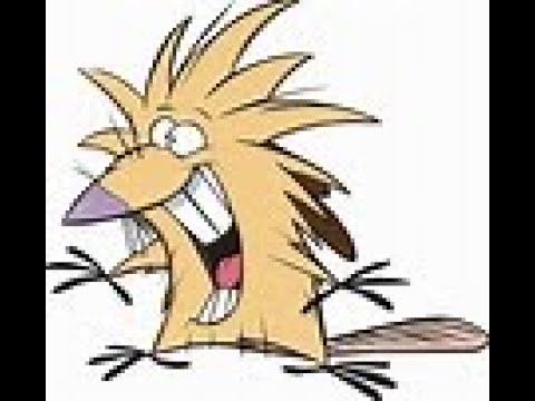 The Angry Beavers Beaver Fever Gameplay - YouTube