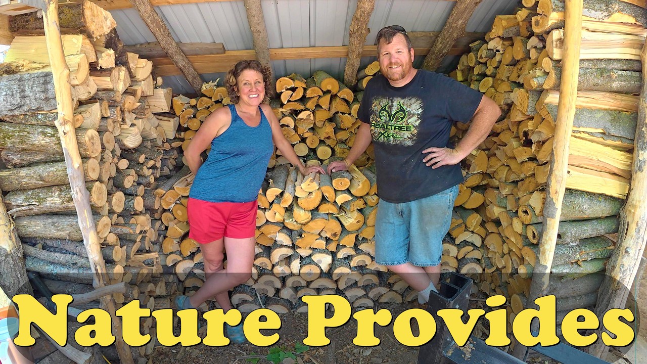 It All Starts Here- From Dead Trees to FREE WINTER HEAT - YouTube